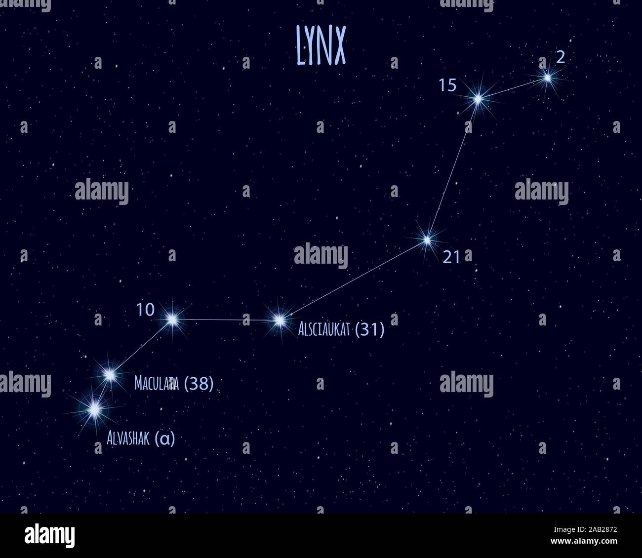 Lynx constellation, vector illustration with the names of basic stars ...