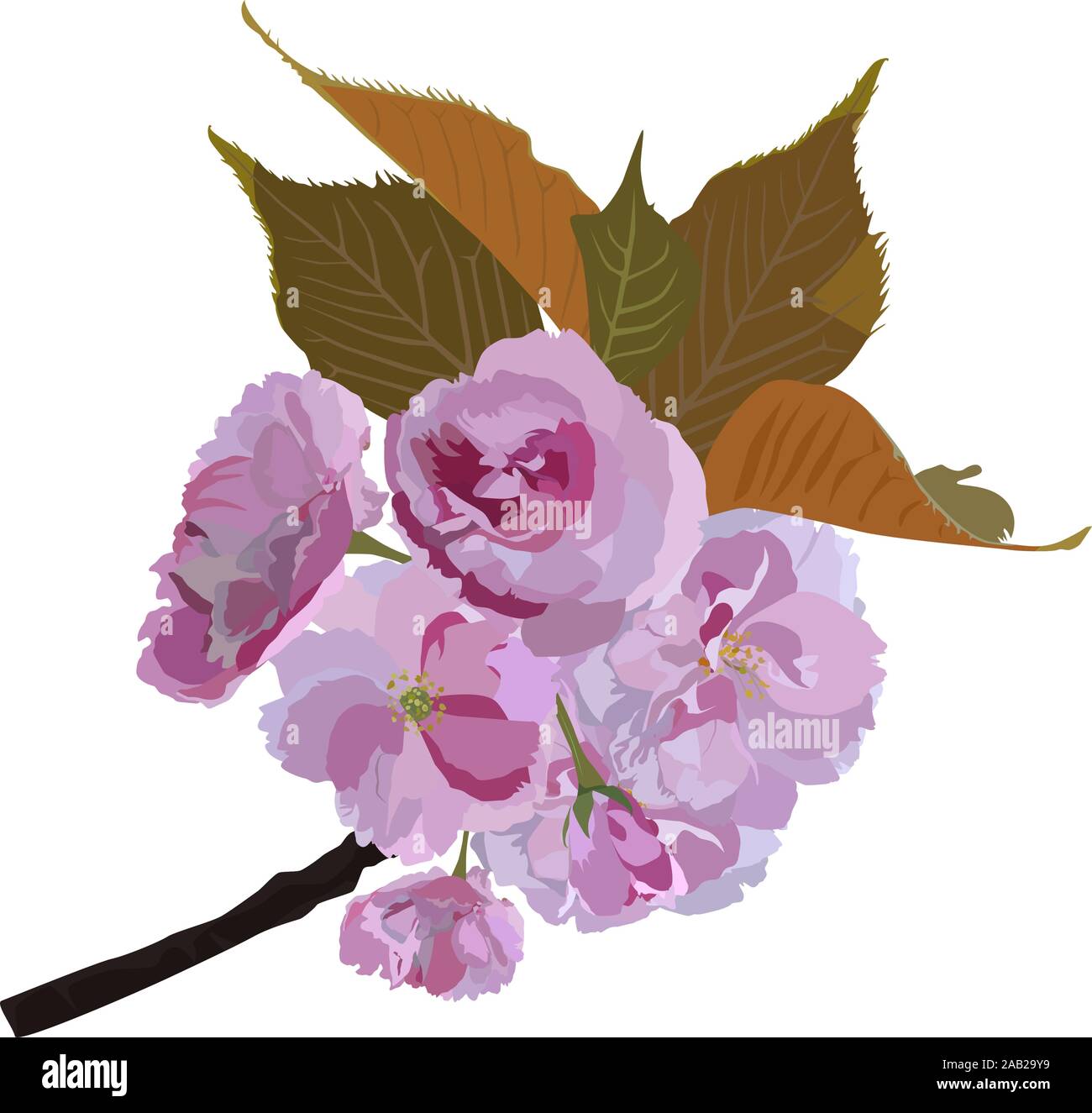 Japanese art cherry blossom Cut Out Stock Images & Pictures - Alamy