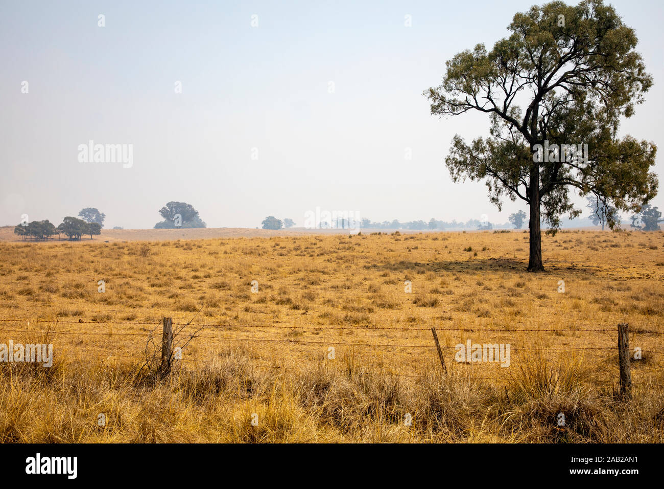 Australian bush landscape hi-res stock photography and images - Alamy