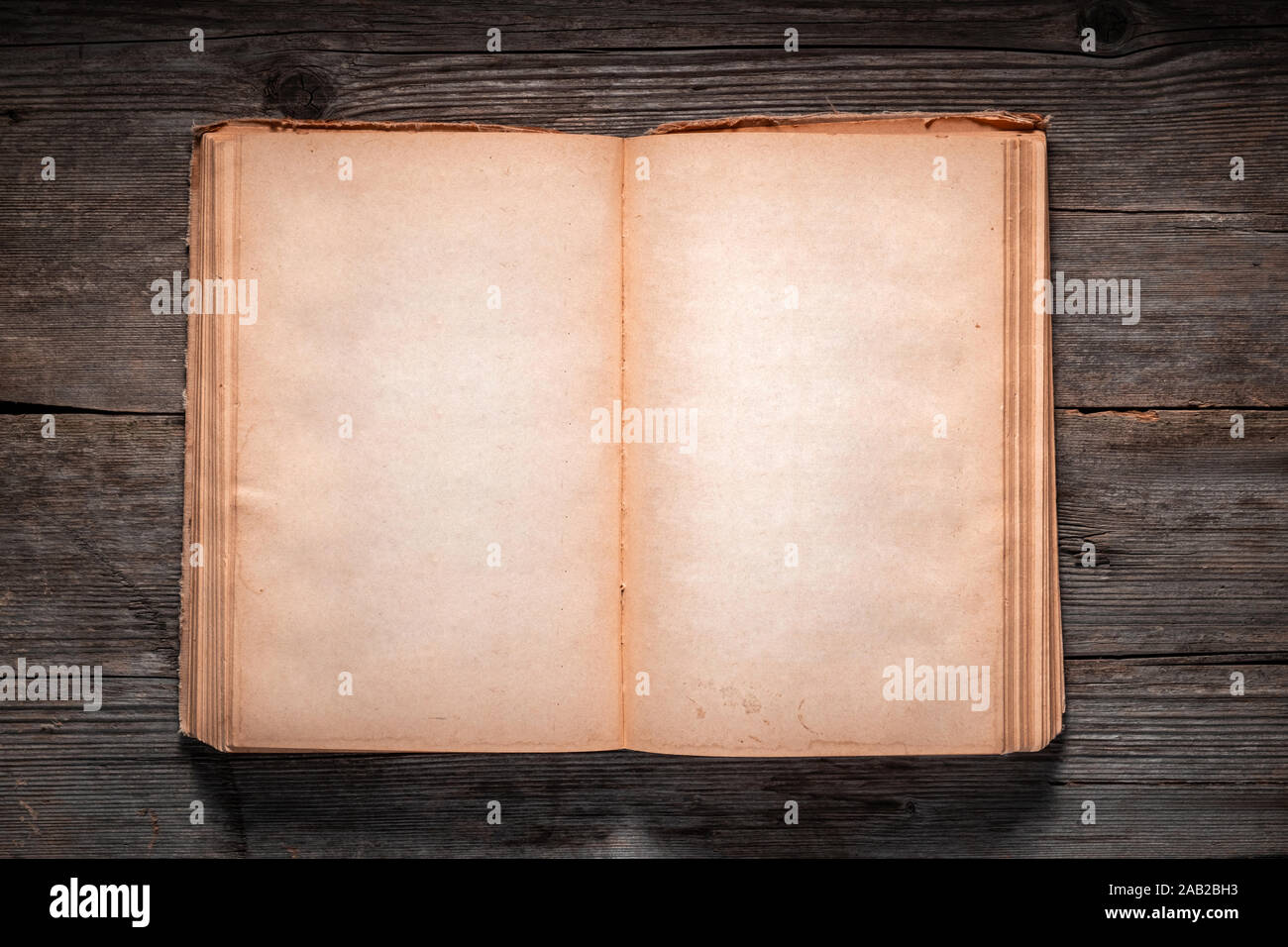 Old Blank Open Book