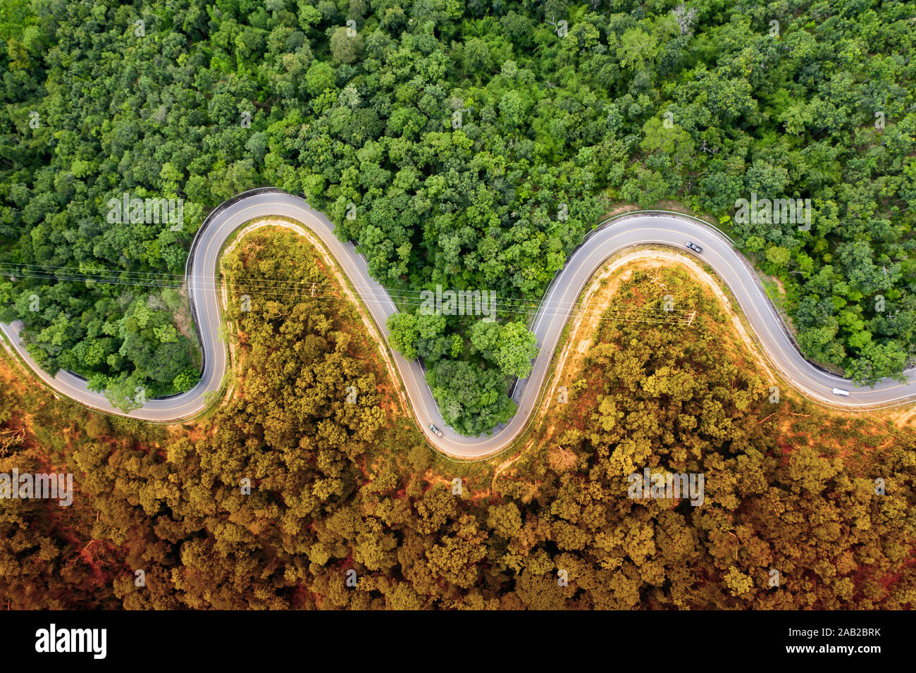 Half autumn yellow forest and half green summer forest. Aerial view of ...