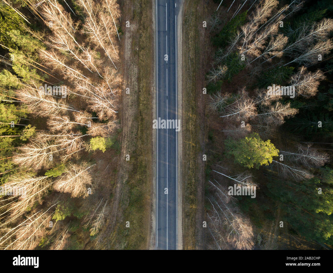 Asphalt road passing through a green forest in the fall. Landscape ...