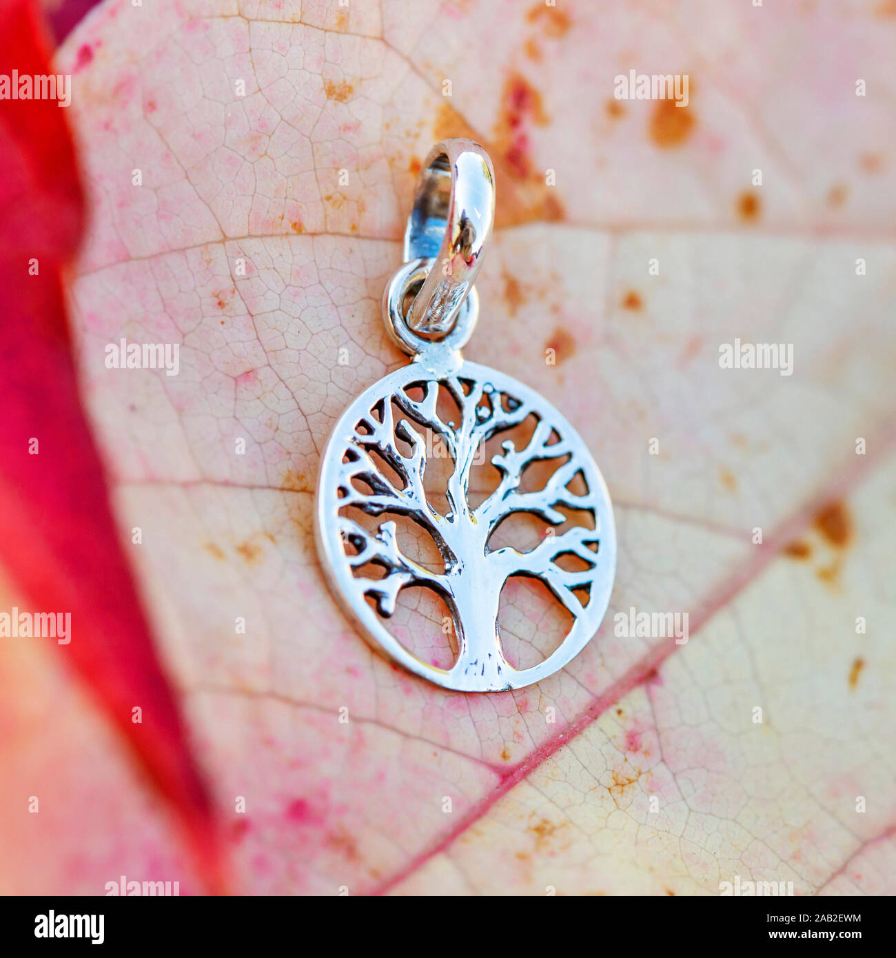 Jewellery tree hi-res stock photography and images - Alamy