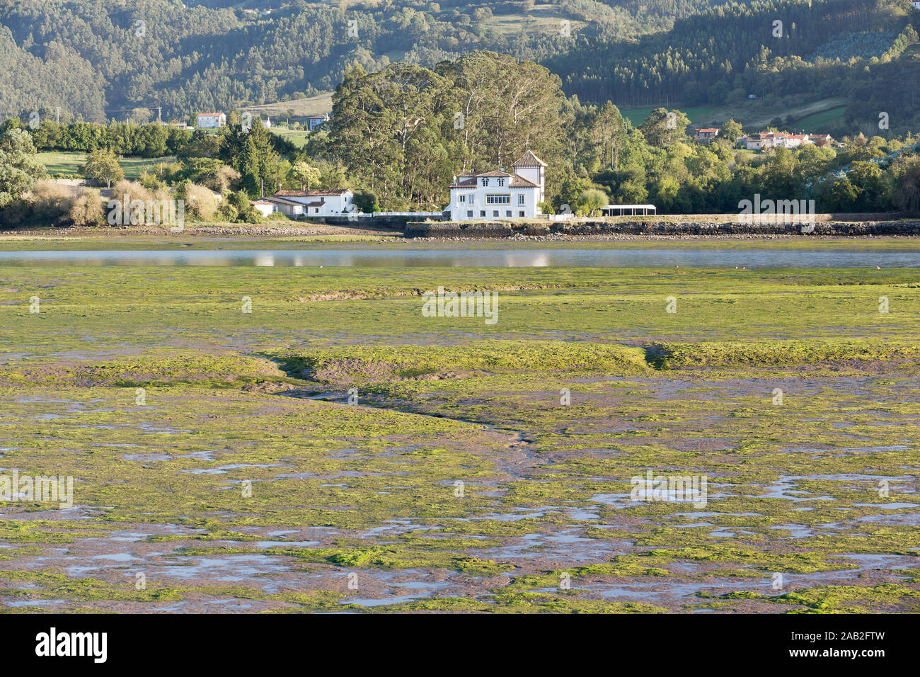 The Villaviciosa estuary is a natural estuary located in the ...