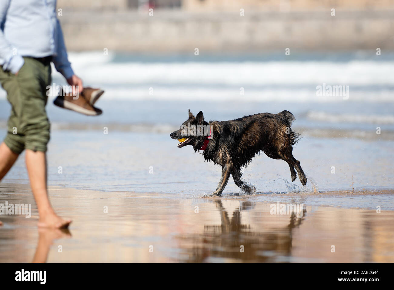 Chucho adorable hi-res stock photography and images - Alamy