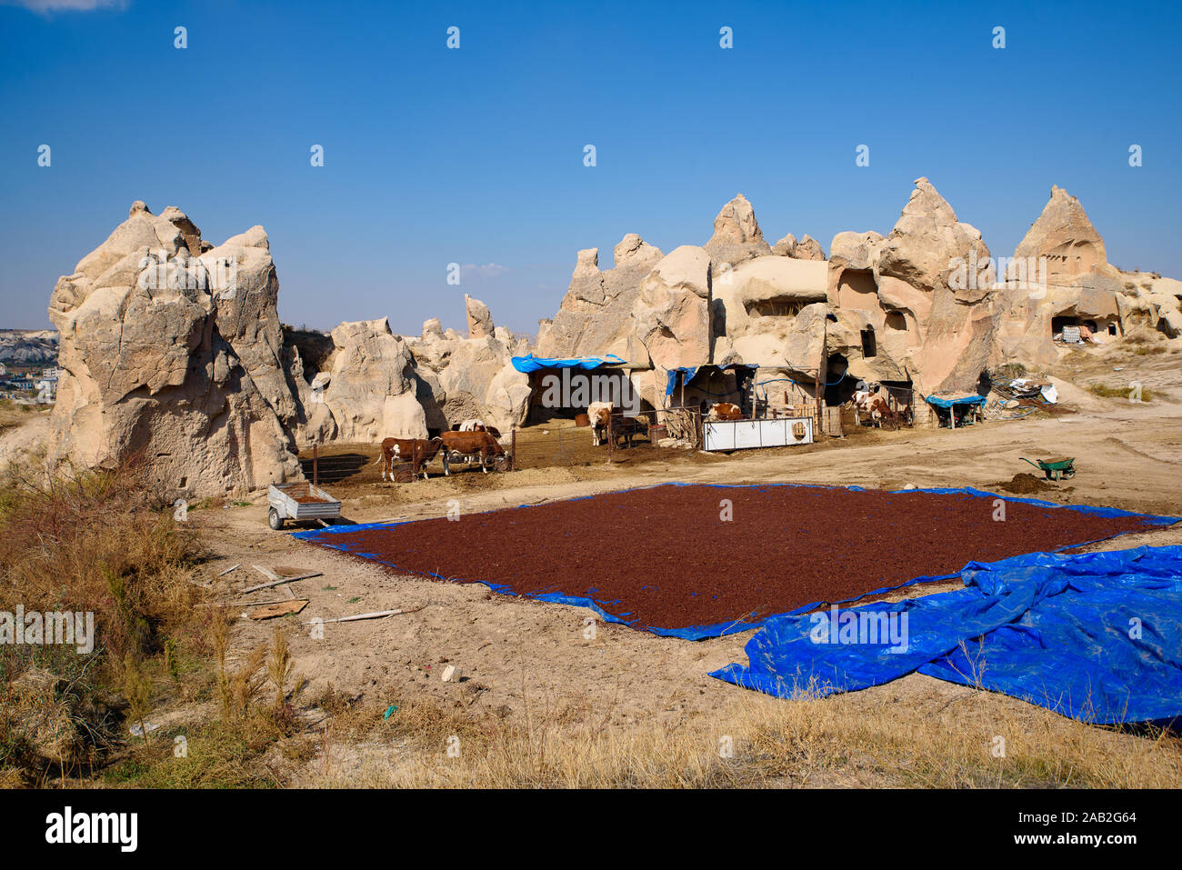 Farm surrounded by cave houses carved in stone at Göreme, Cappadocia ...