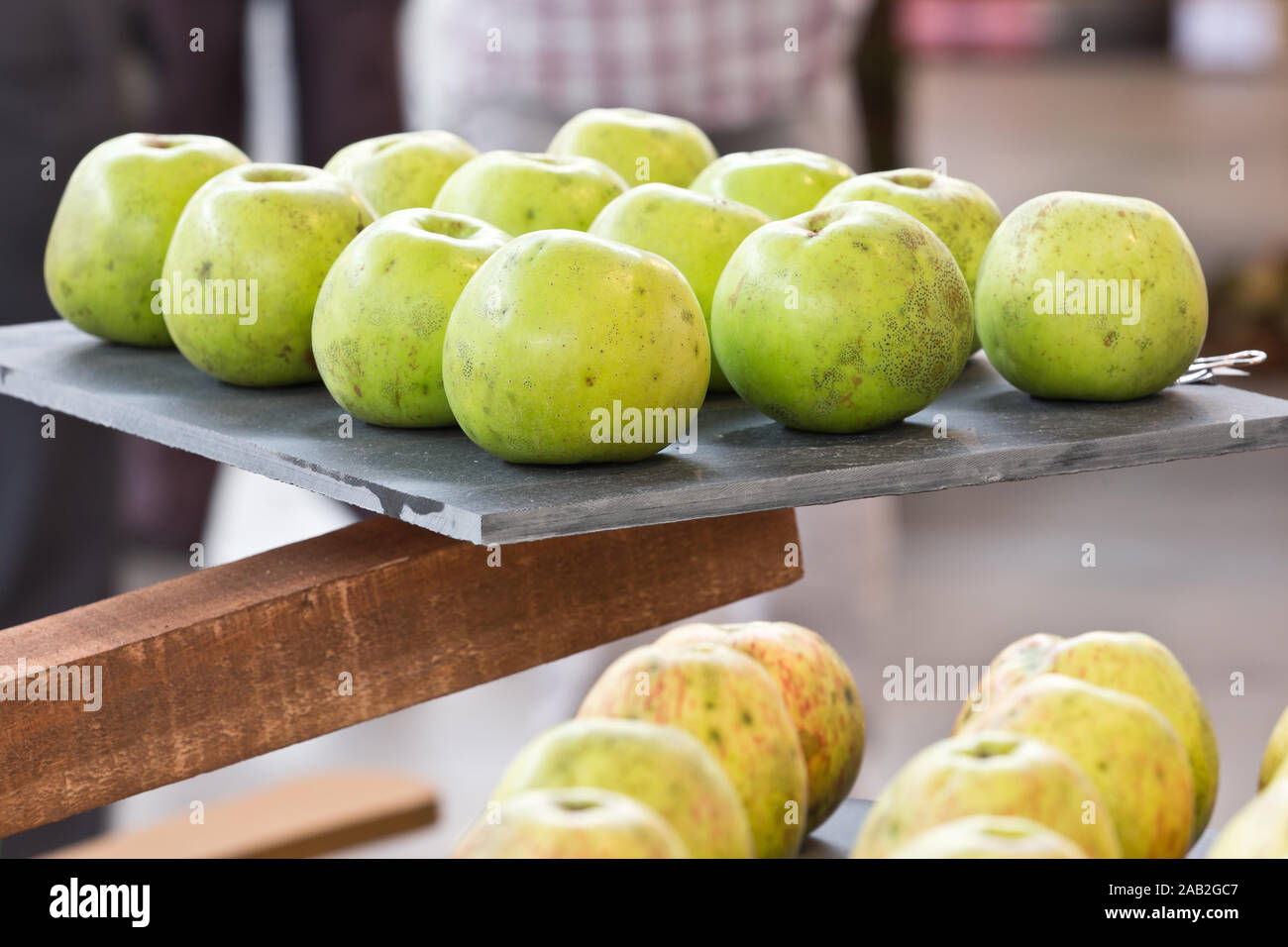 XXXII Apple Festival, in Villaviciosa, Asturias, Spain. Tourist ...