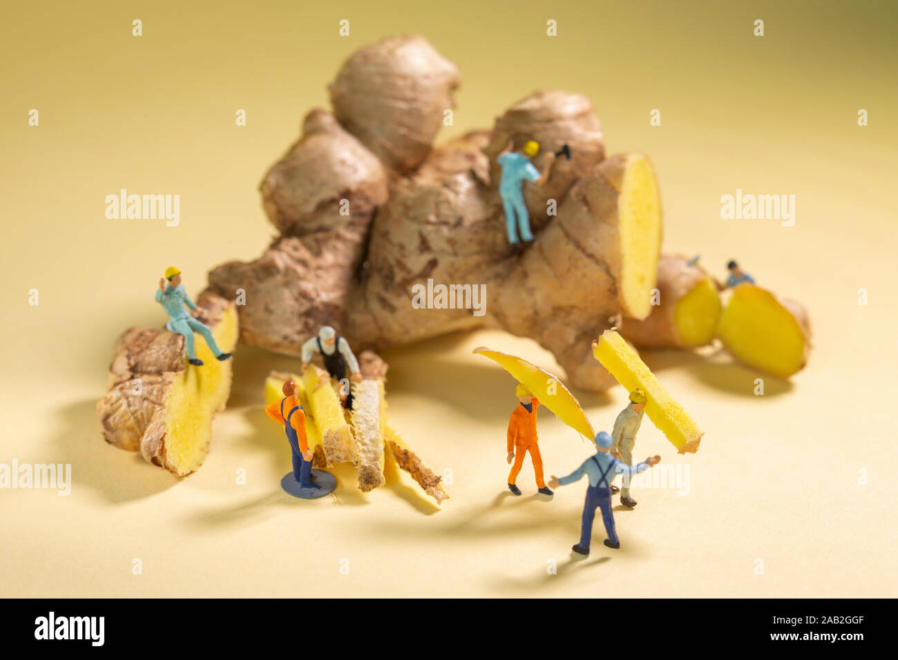 Root builder hi-res stock photography and images - Alamy