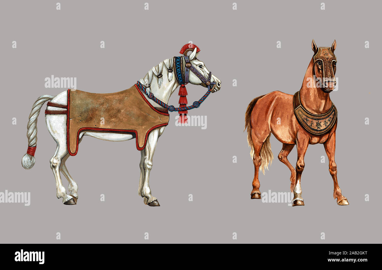 Assyrian Rider High Resolution Stock Photography and Images - Alamy