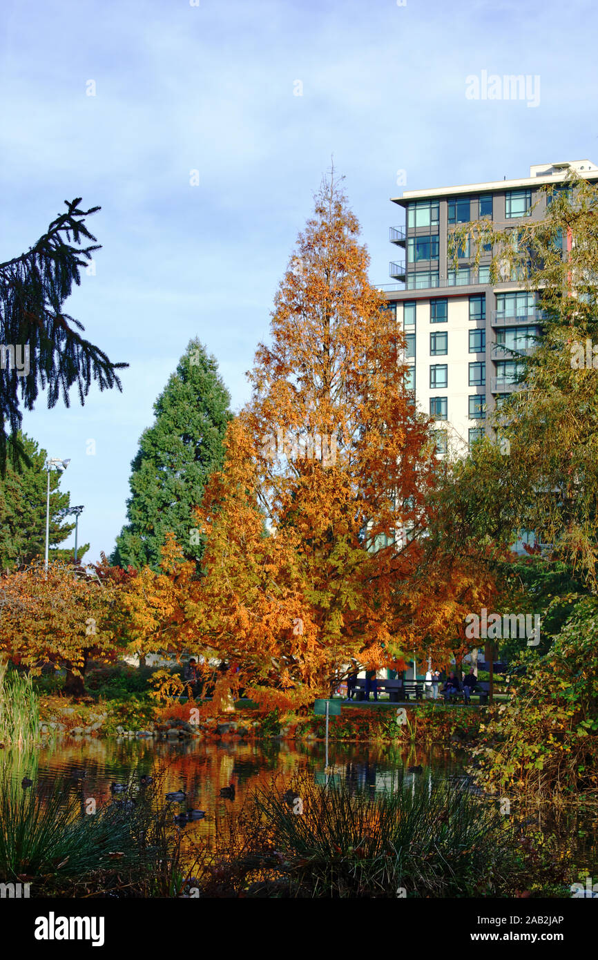 The fall of richmond hi-res stock photography and images - Alamy