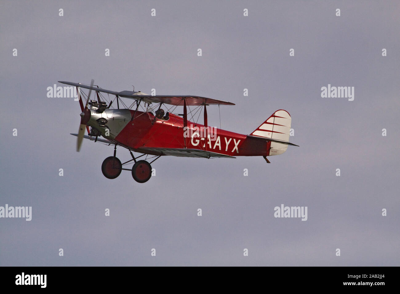 Martlet High Resolution Stock Photography and Images - Alamy