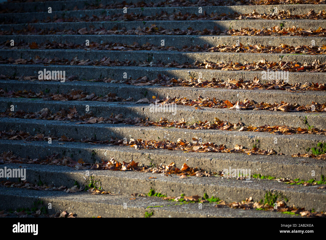 Stairs in shadow and light Stock Photo - Alamy