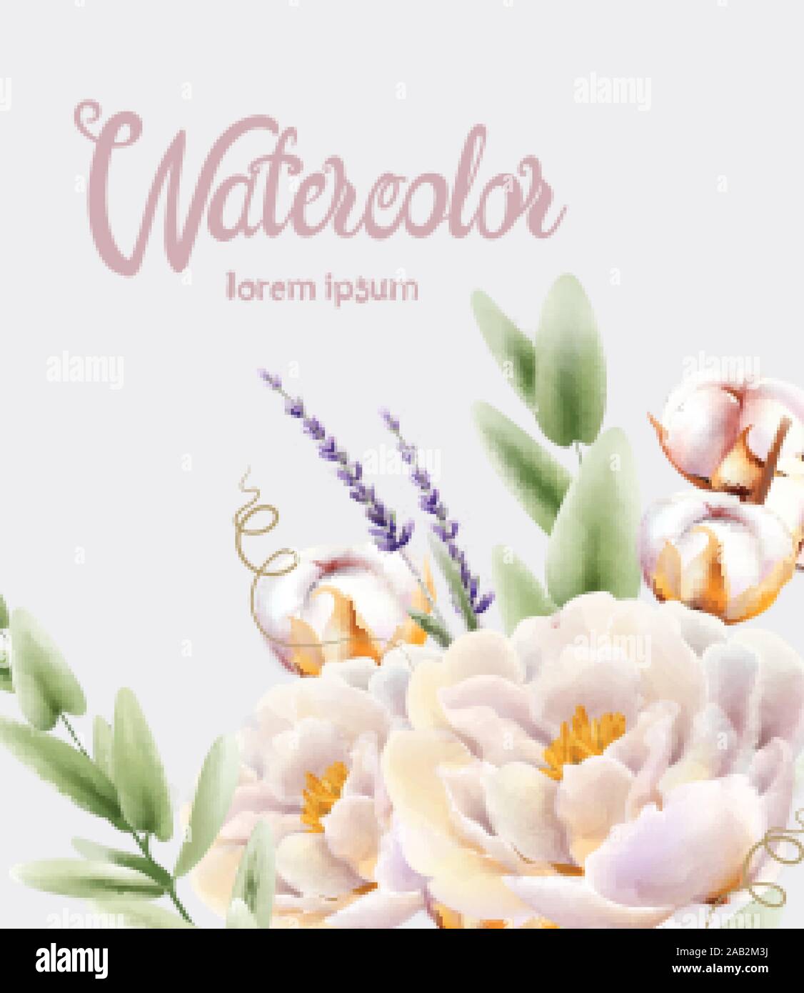 Watercolor lavender, peonies and cotton flowers bouquet vector Stock ...