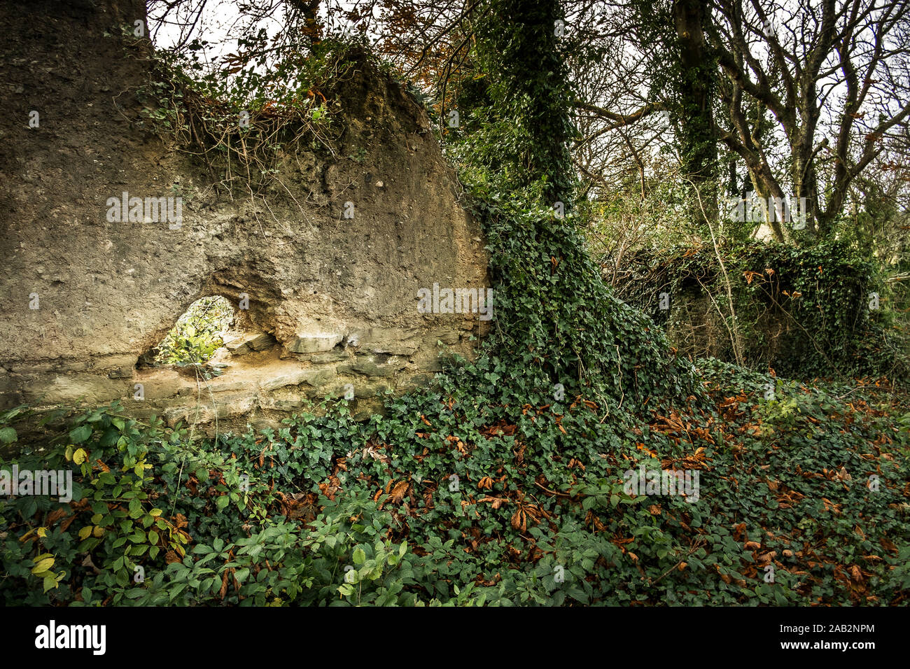Fir hill manor hi-res stock photography and images - Alamy