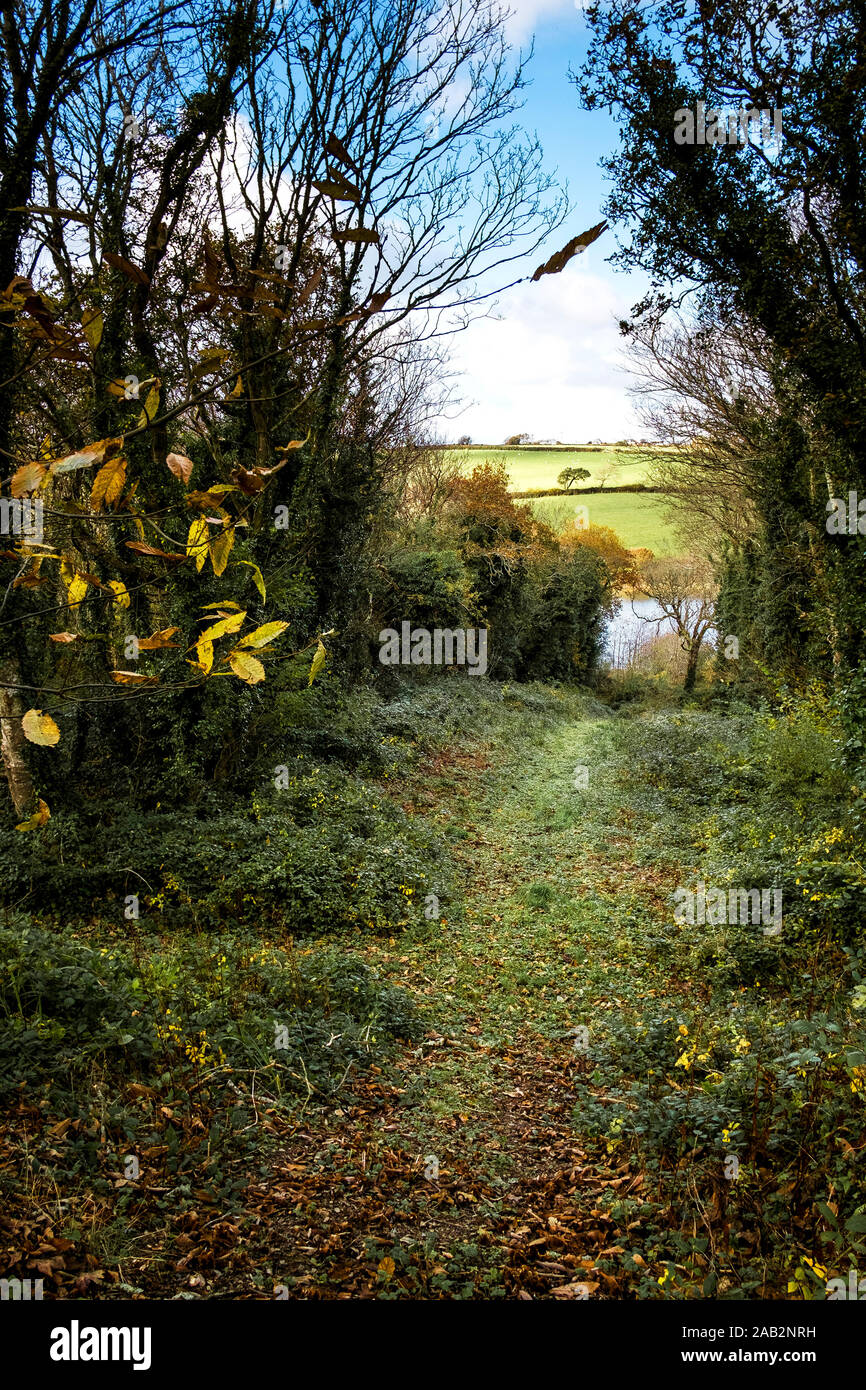 Fir hill manor hi-res stock photography and images - Alamy