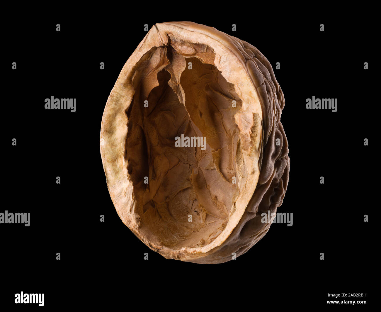 Macro photo of empty shell of walnut isolated on a black with clipping ...
