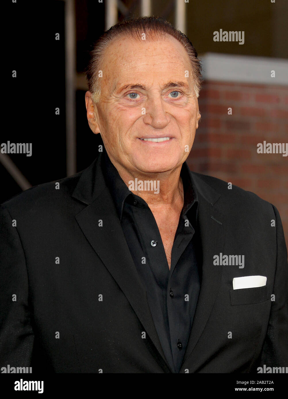 The Irishman Premiere held at the TCL Chinese Theatre in Hollywood ...