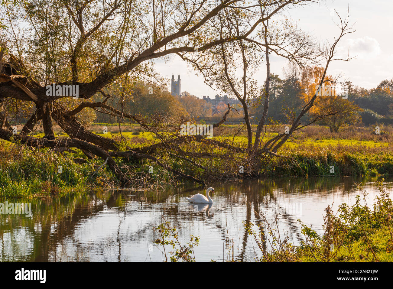Bungay common hi-res stock photography and images - Alamy