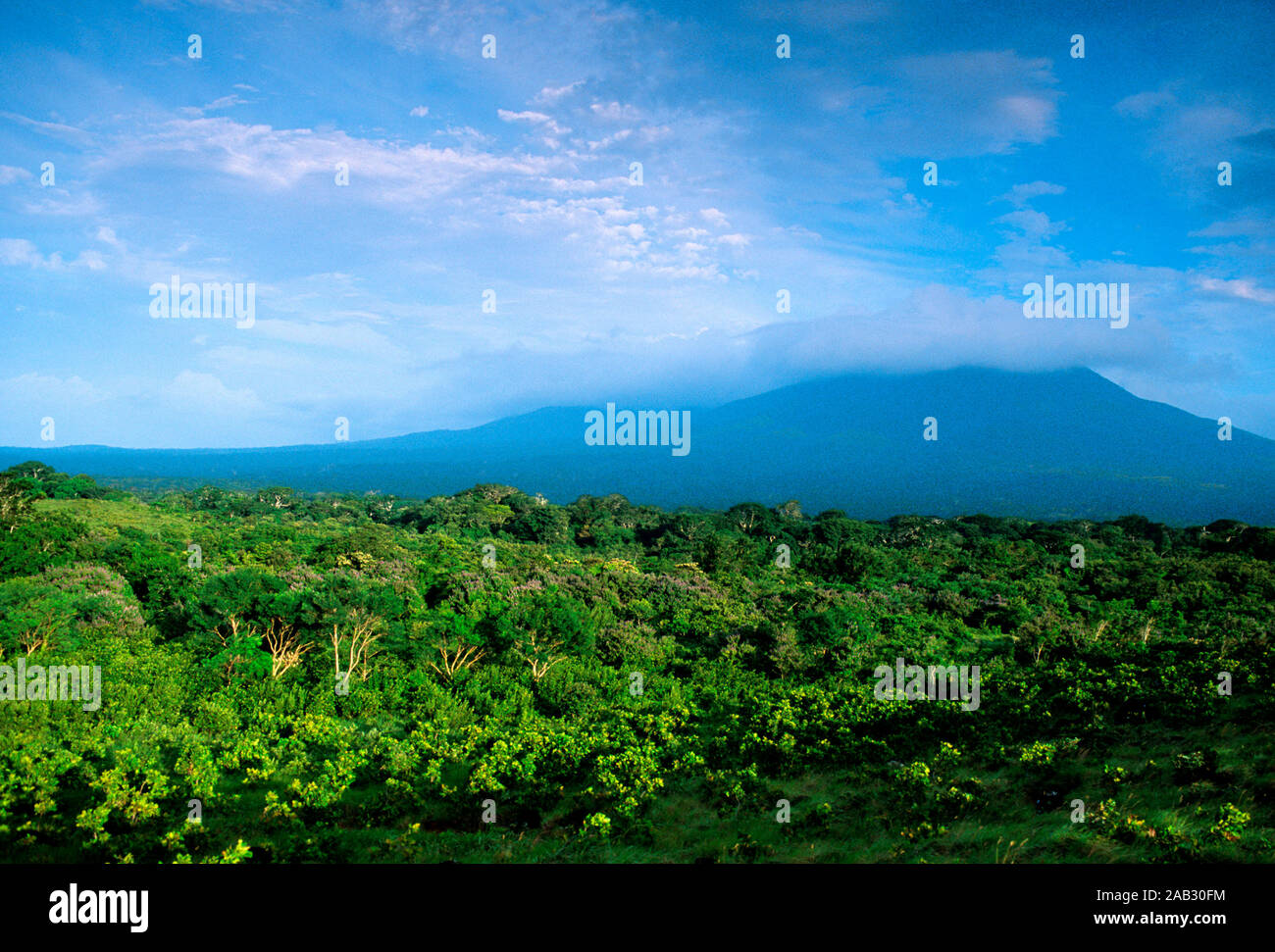 Costa rica orosi volcano hi-res stock photography and images - Alamy