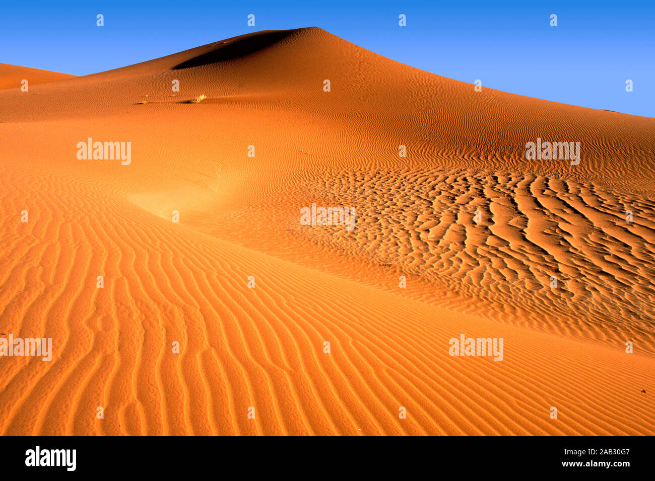 Duene sandduene hi-res stock photography and images - Alamy