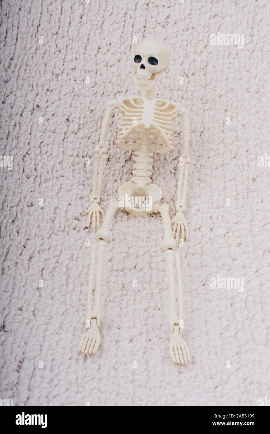 Human skeleton model for medical anatomy science Medical clinic concept ...