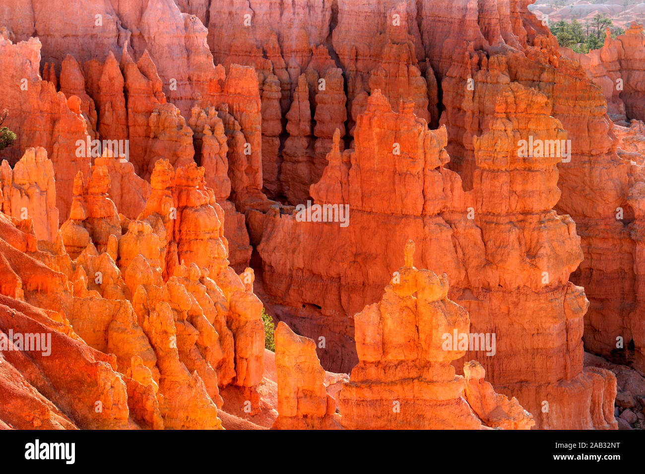 Geographie, Bryce Canyon NP, Utah, USA, Nationalpark, Erosion ...