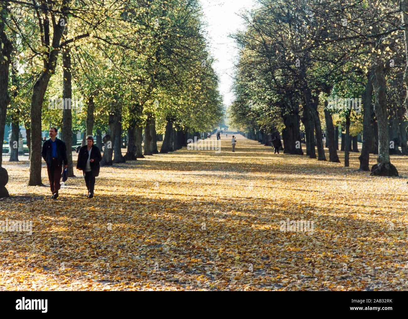 Autmn leaf and calm walk out at Drottningholm Castle Stock Photo - Alamy