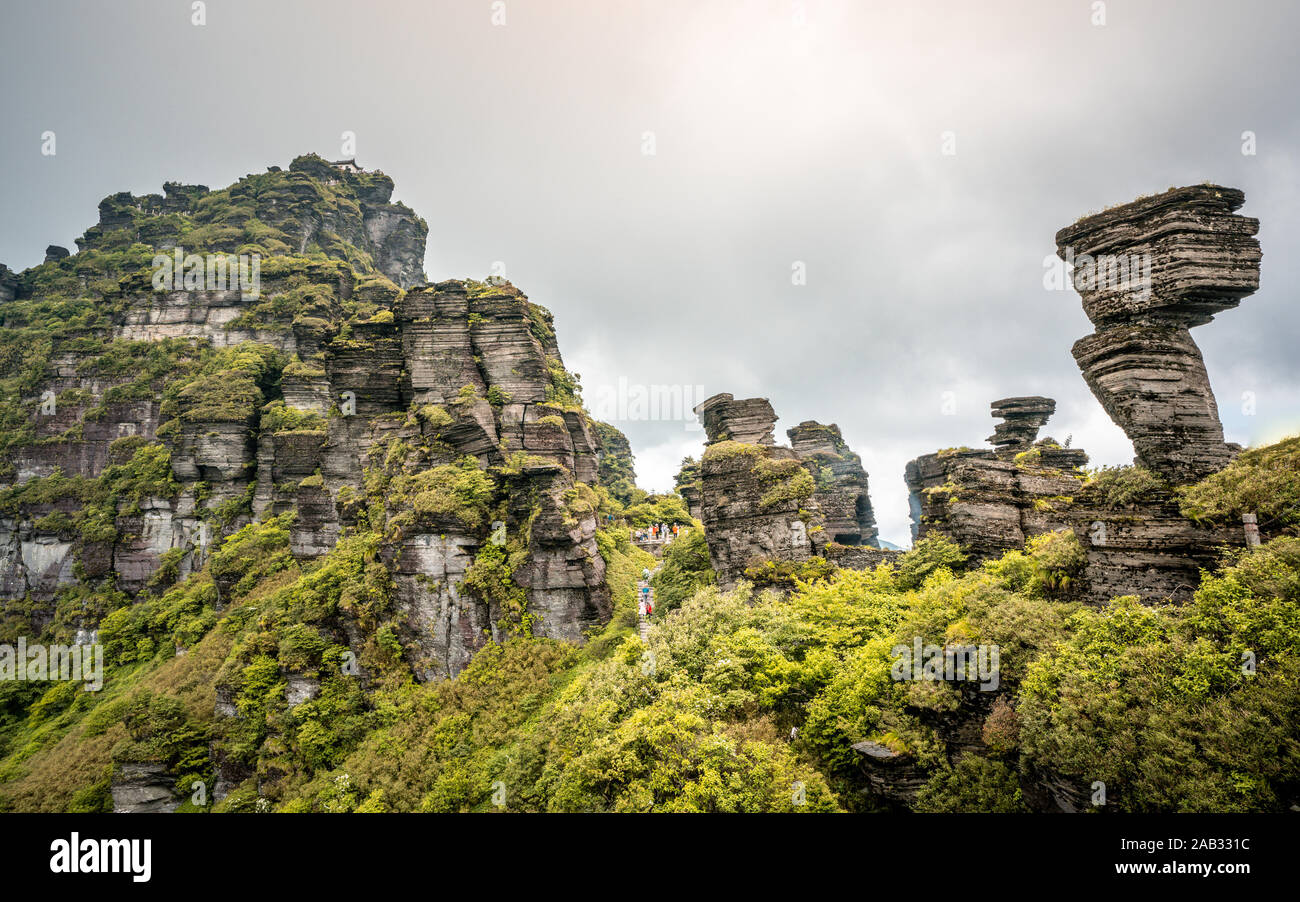 Fanjingshan old golden summit scenery and mushroom shaped stone with ...