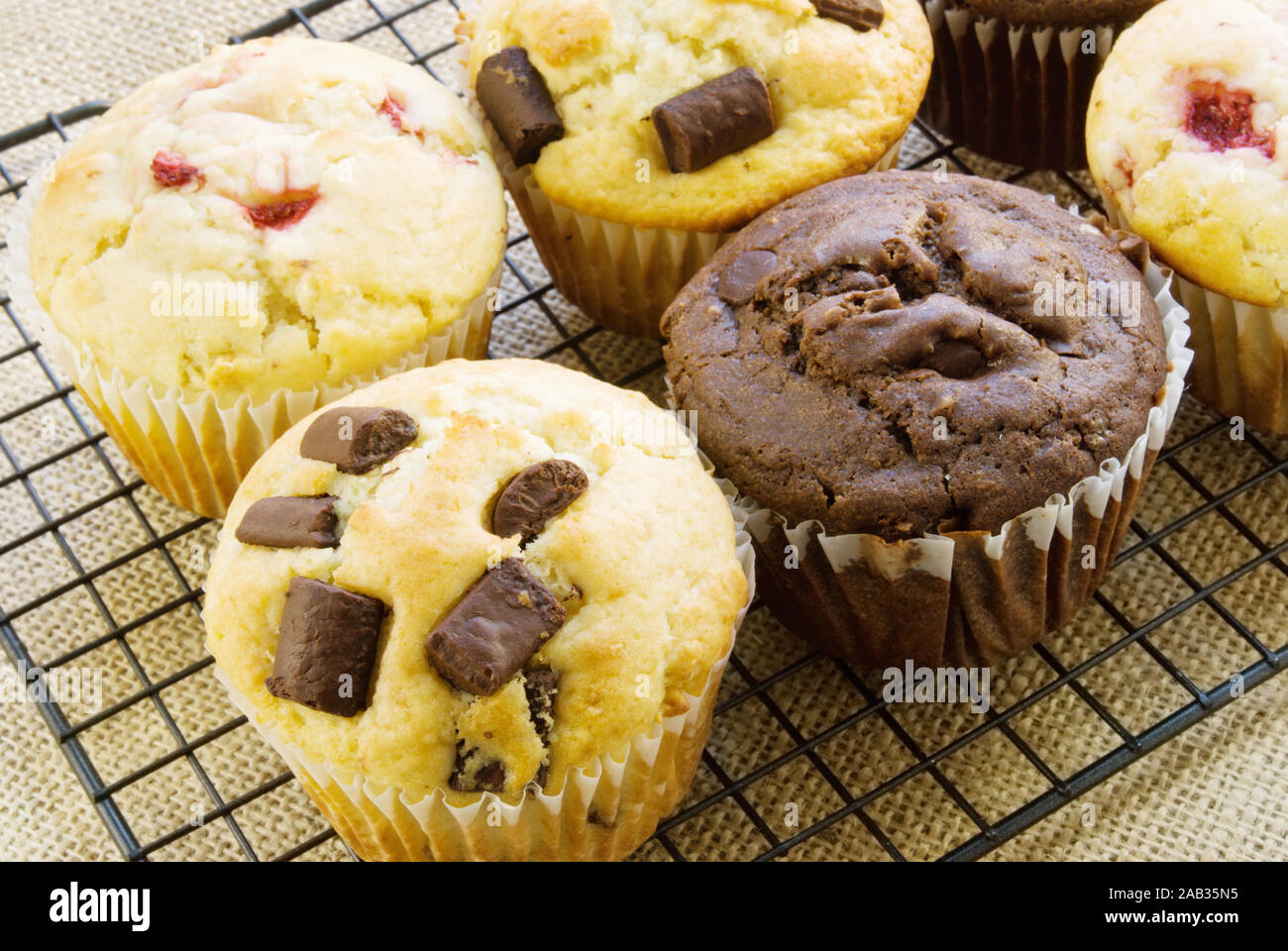 Assorted Muffins