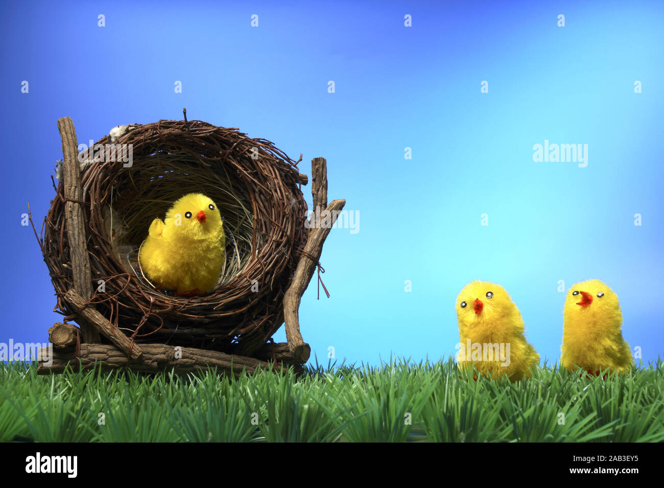 Kuecken hi-res stock photography and images - Alamy