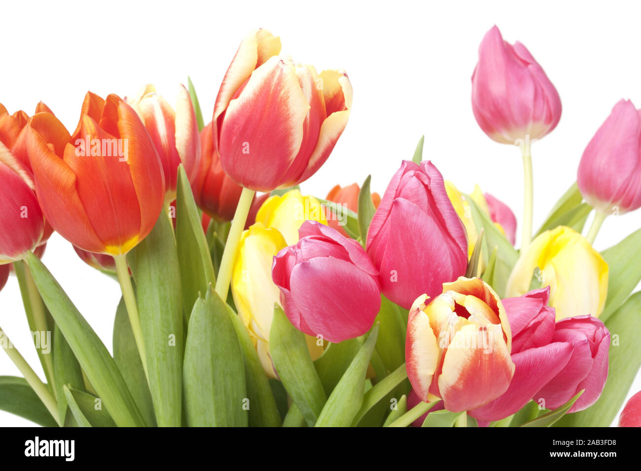 Strauss photo studio hi-res stock photography and images - Alamy