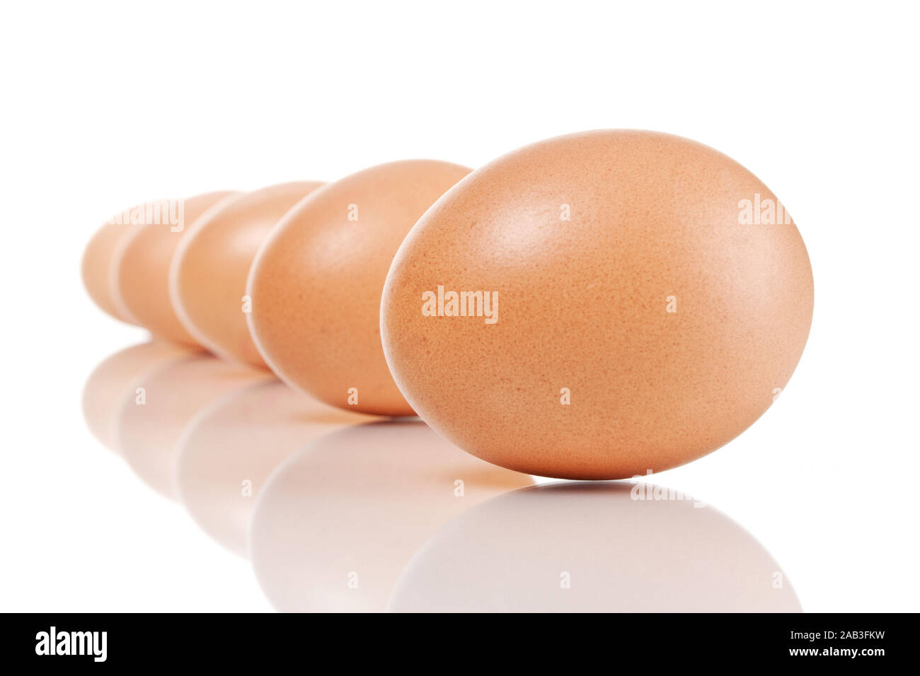 Bio-Eier |Organic eggs| Stock Photo - Alamy