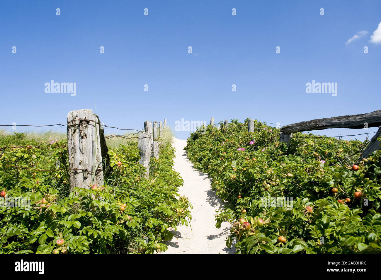 Weg zum strand hi-res stock photography and images - Alamy