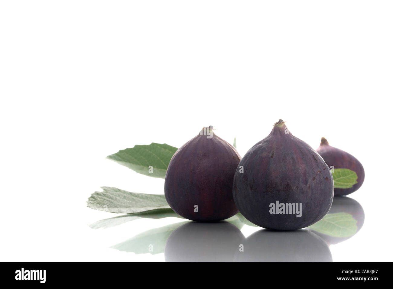 Feigenblatt hi-res stock photography and images - Alamy