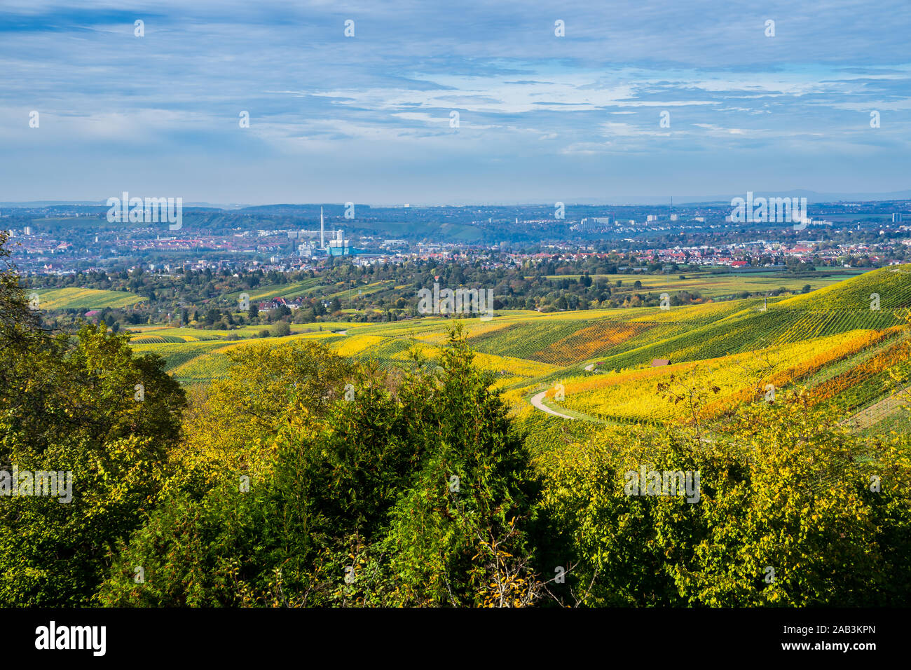 Stuttgart city forest in autumn hi-res stock photography and images - Alamy