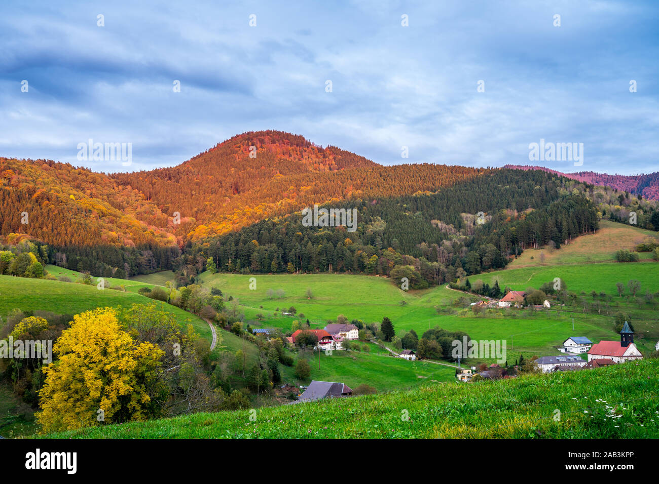Germany, Warm sunset light decorating tree covered black forest hills ...