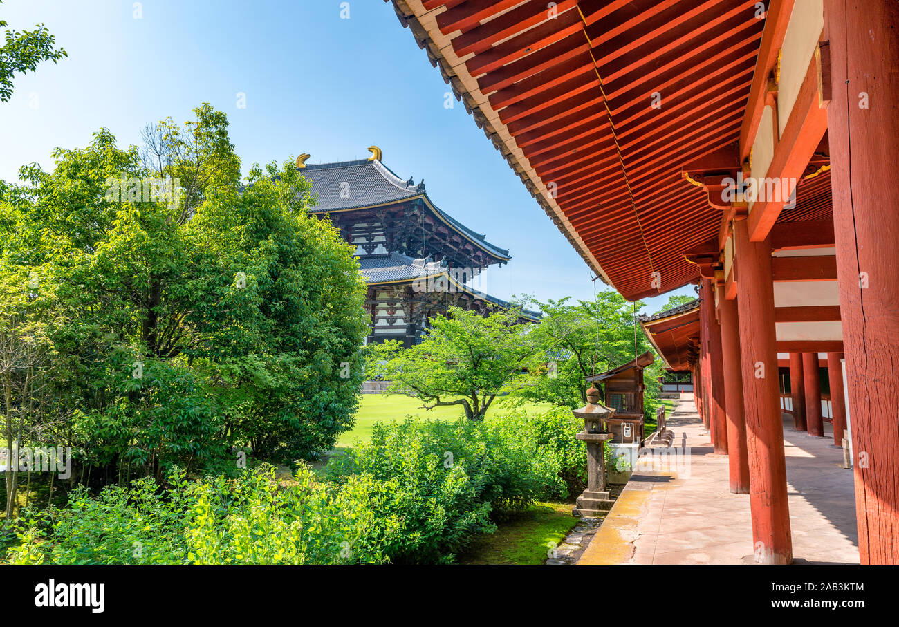 Columns and vegetation in Todai-Ji Temple, Nara - Japan Stock Photo - Alamy