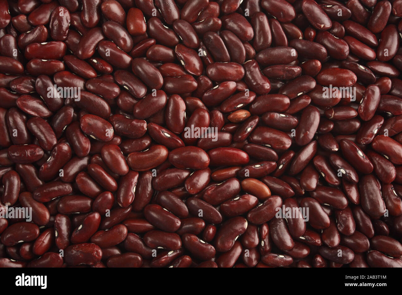 Rote Kidney Bohnen Stock Photo - Alamy