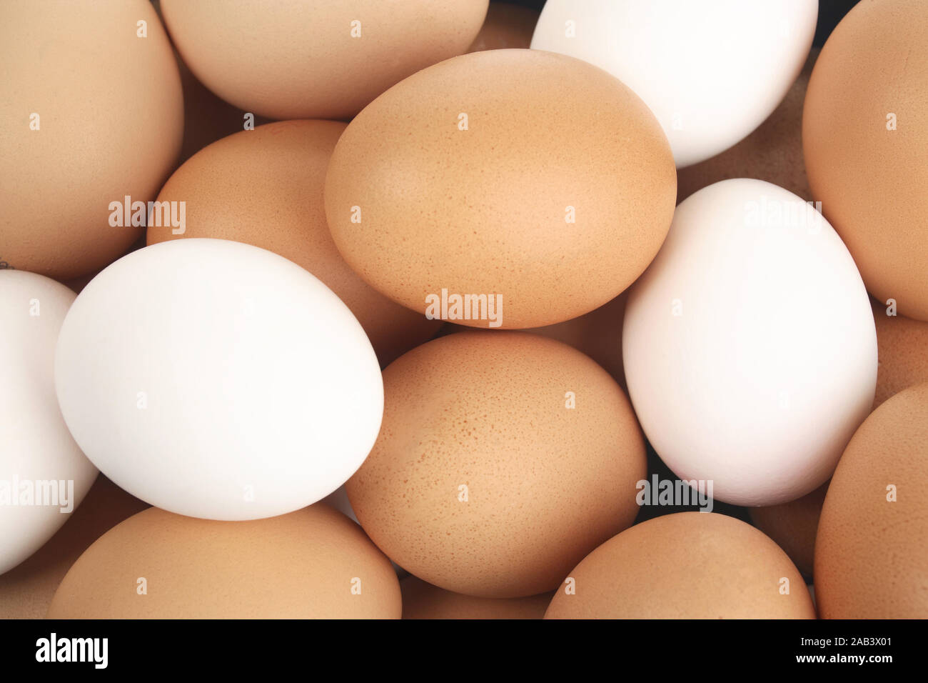Frische Eier |Fresh eggs| Stock Photo - Alamy