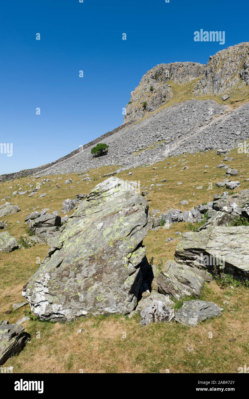 The Norber Erratics boulders below Robin Proctor's Scar in the ...