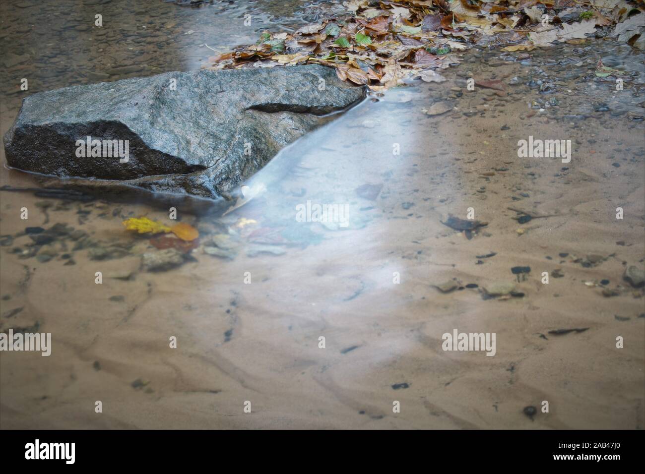 Ladybrook hi-res stock photography and images - Alamy