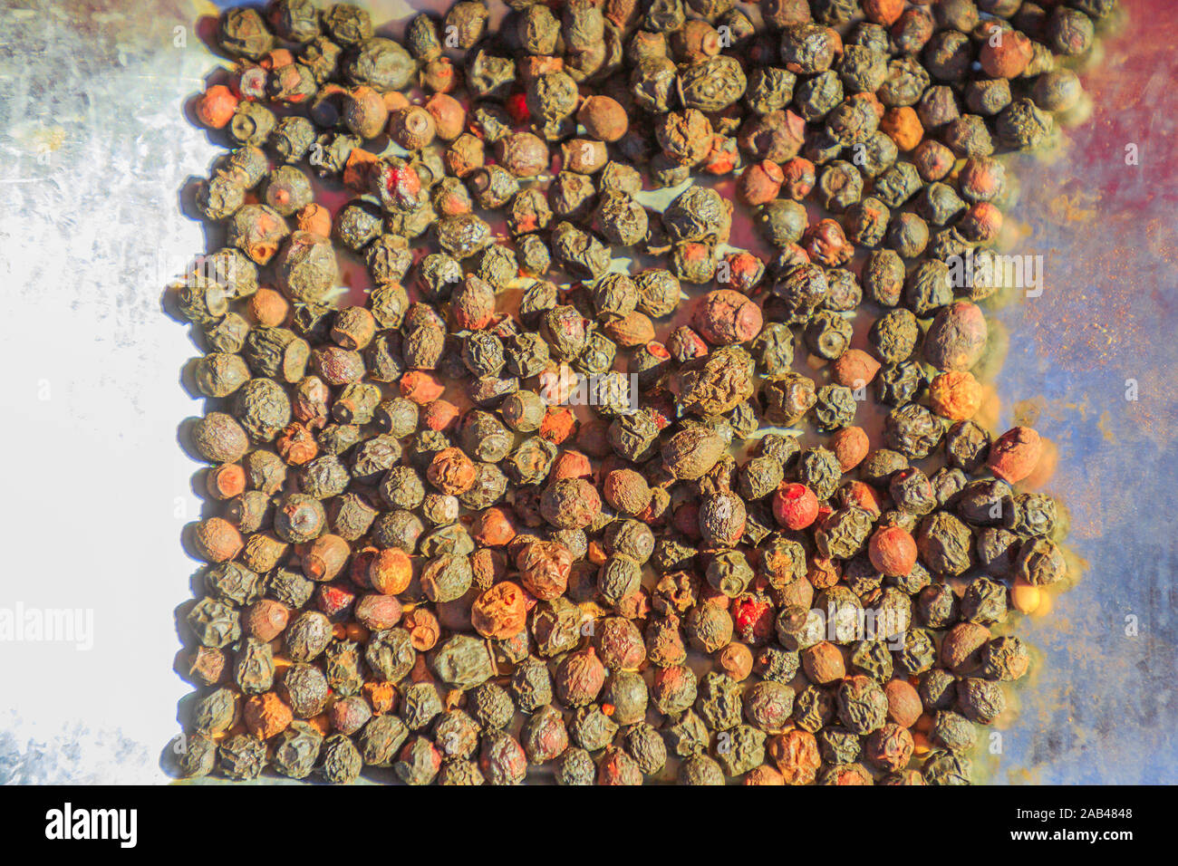 Seeds food eaten by indigenous Australian Luritja and Pertame, Southern ...