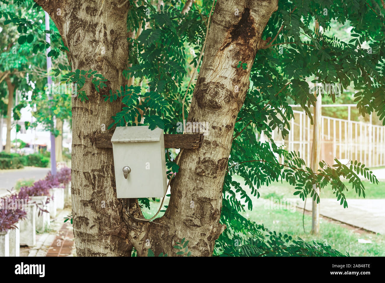 Old rusty electrical power control box on tree in the public park Stock ...