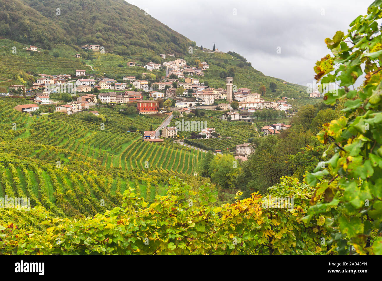 Prosecco vineyard hi-res stock photography and images - Alamy
