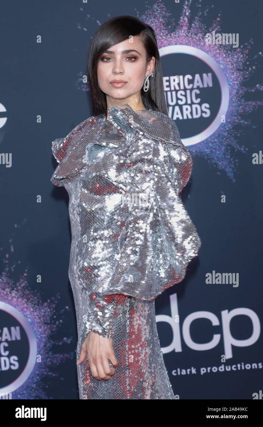 Los Angeles, USA. 24th Nov 2019. Sofia Carson attends the 2019 American ...