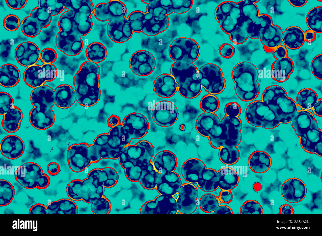 Shape of bacterial cell: cocci, bacilli, spirilla bacteria background ...