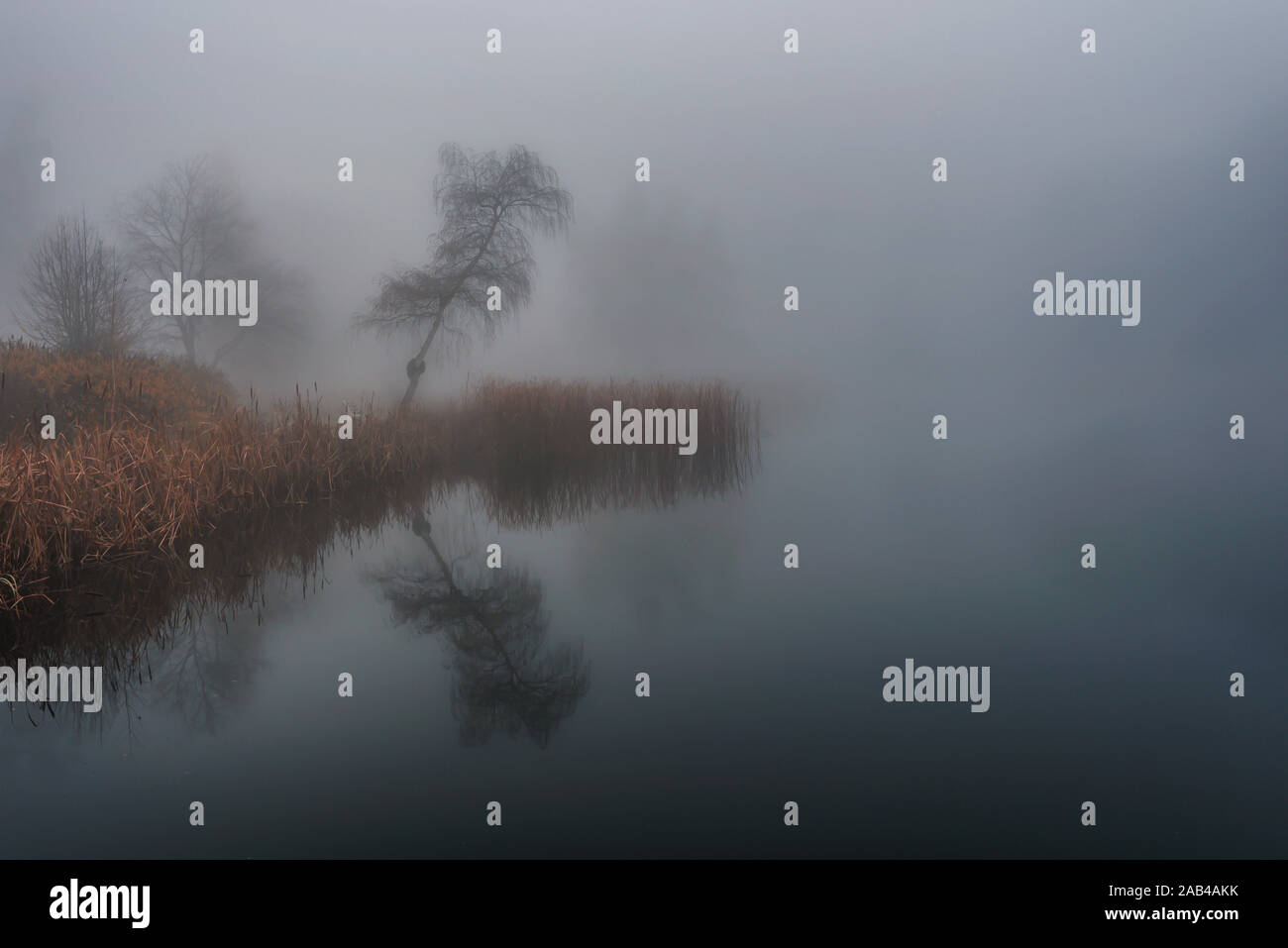 Misty Autumn Morning by Lakeside Stock Photo - Alamy
