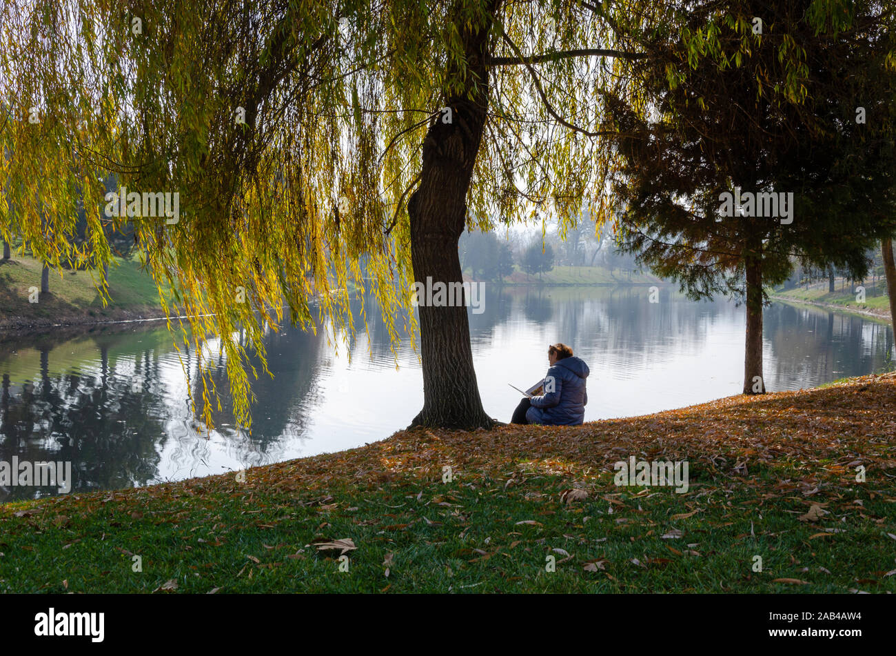 Sitting under willow tree hi-res stock photography and images - Alamy
