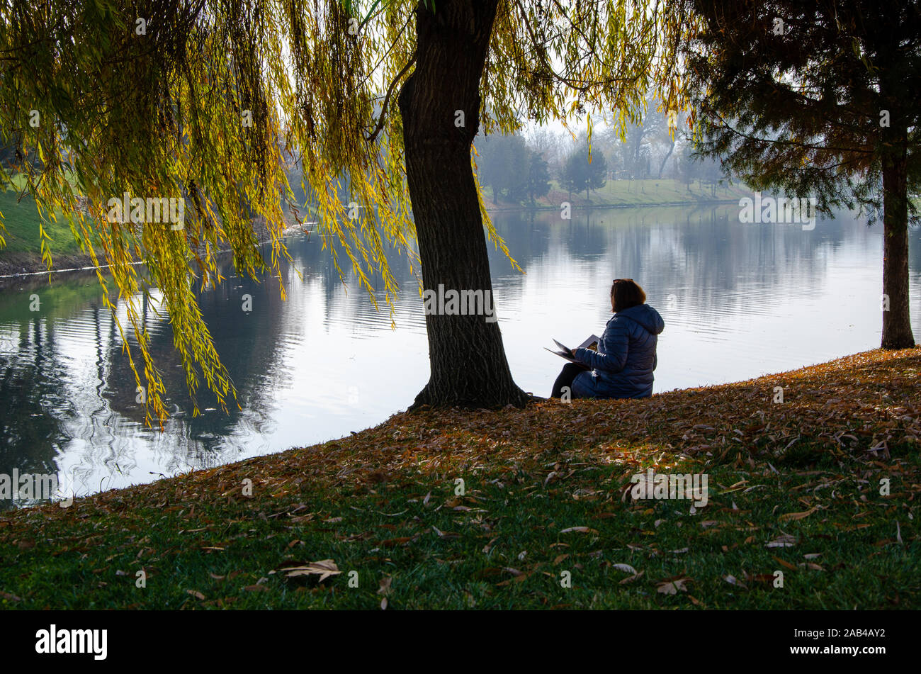 Sitting under willow tree hi-res stock photography and images - Alamy