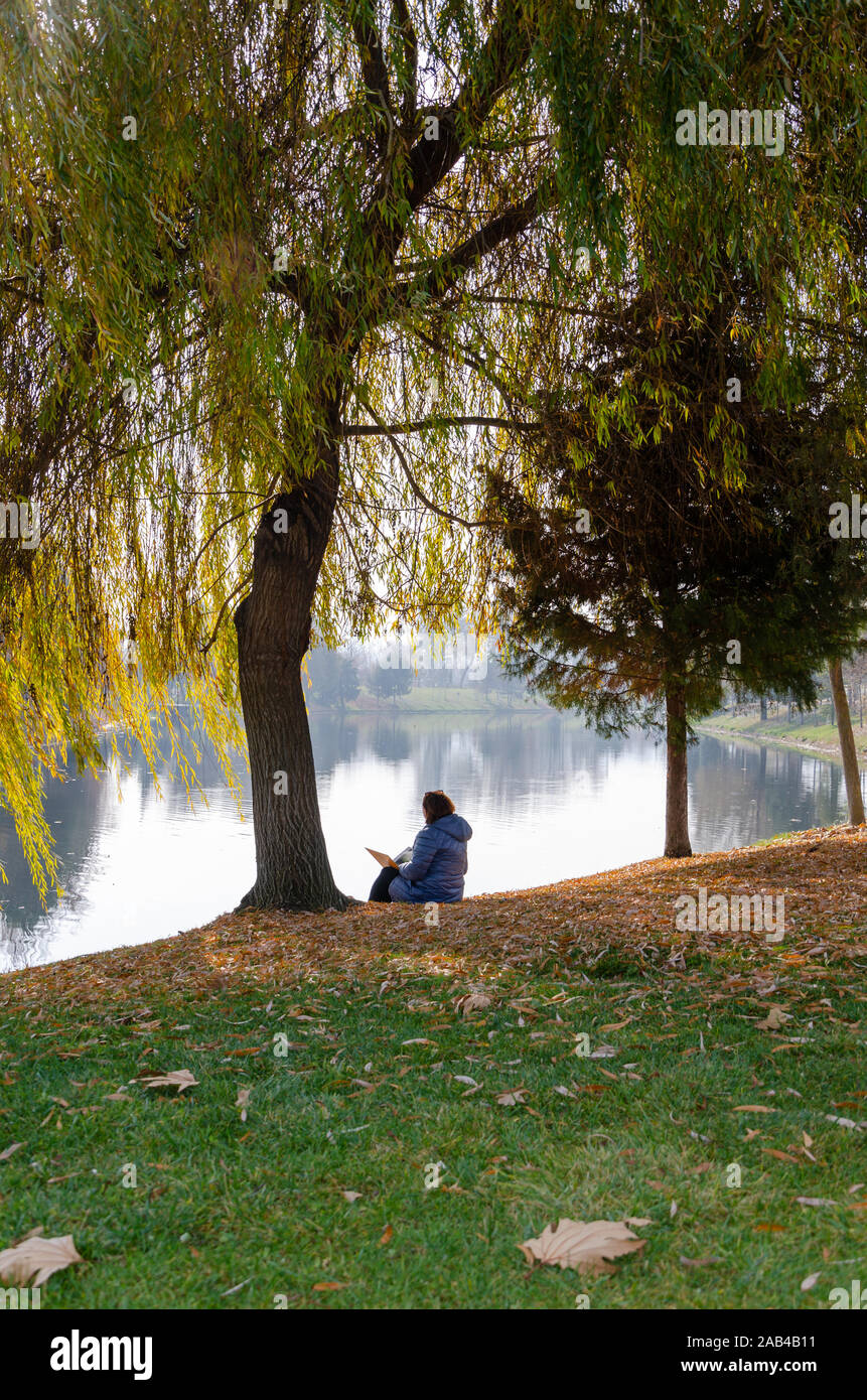 Sitting under willow tree hi-res stock photography and images - Alamy